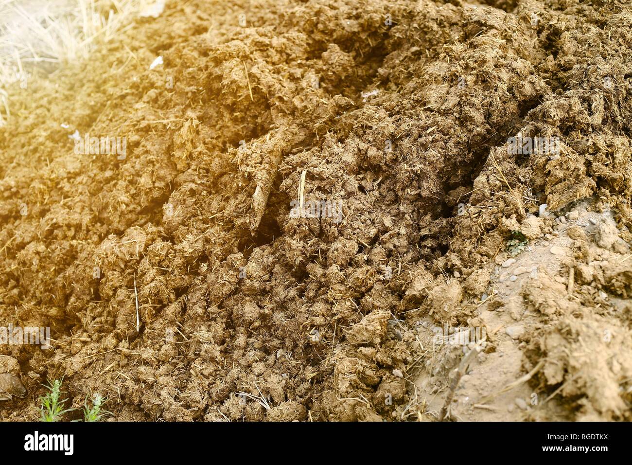 Wet soil heap hi-res stock photography and images - Alamy