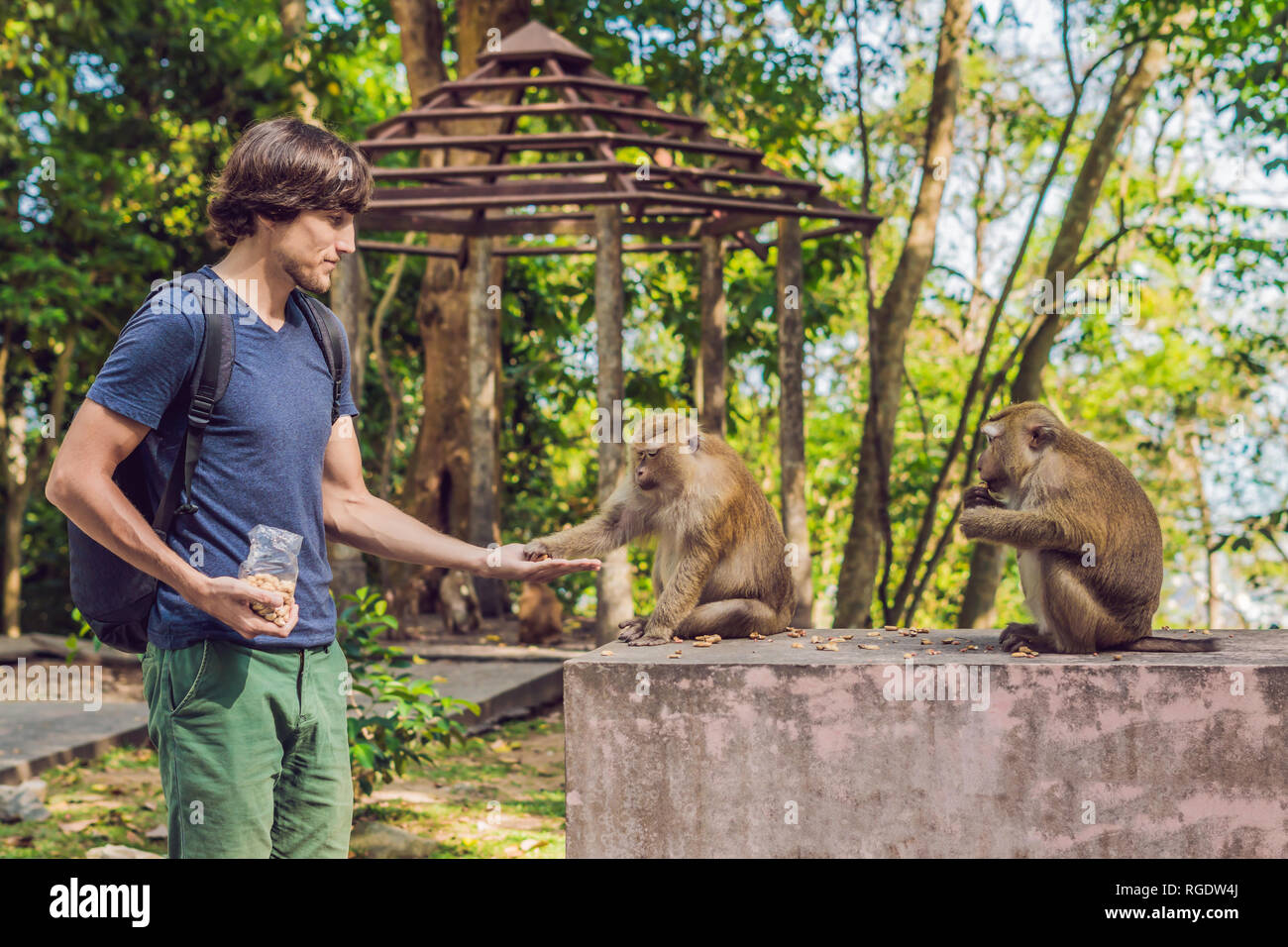 The man feeds the monkey whith nuts Stock Photo - Alamy