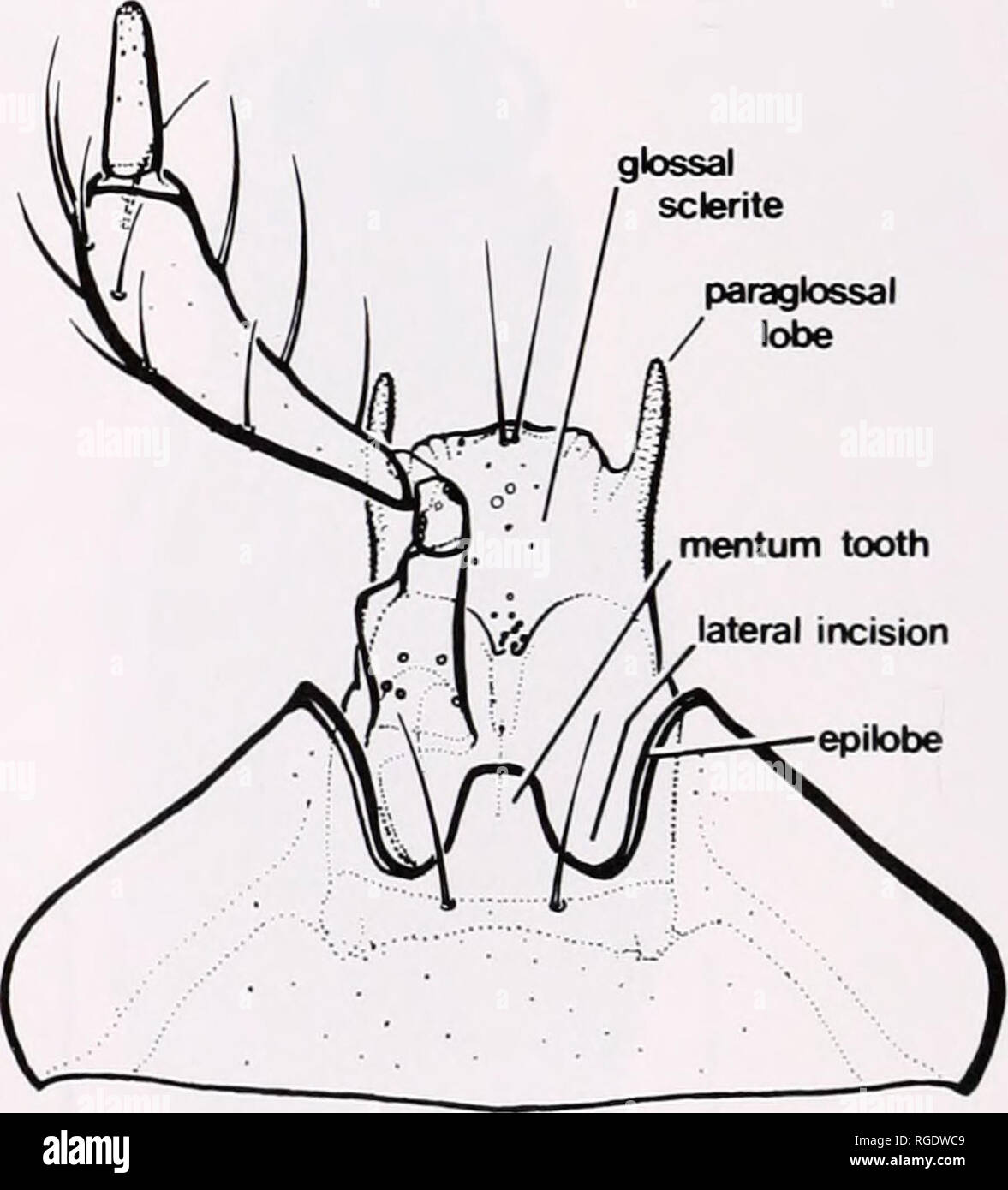 . Bulletin of the Museum of Comparative Zoology at Harvard College ...