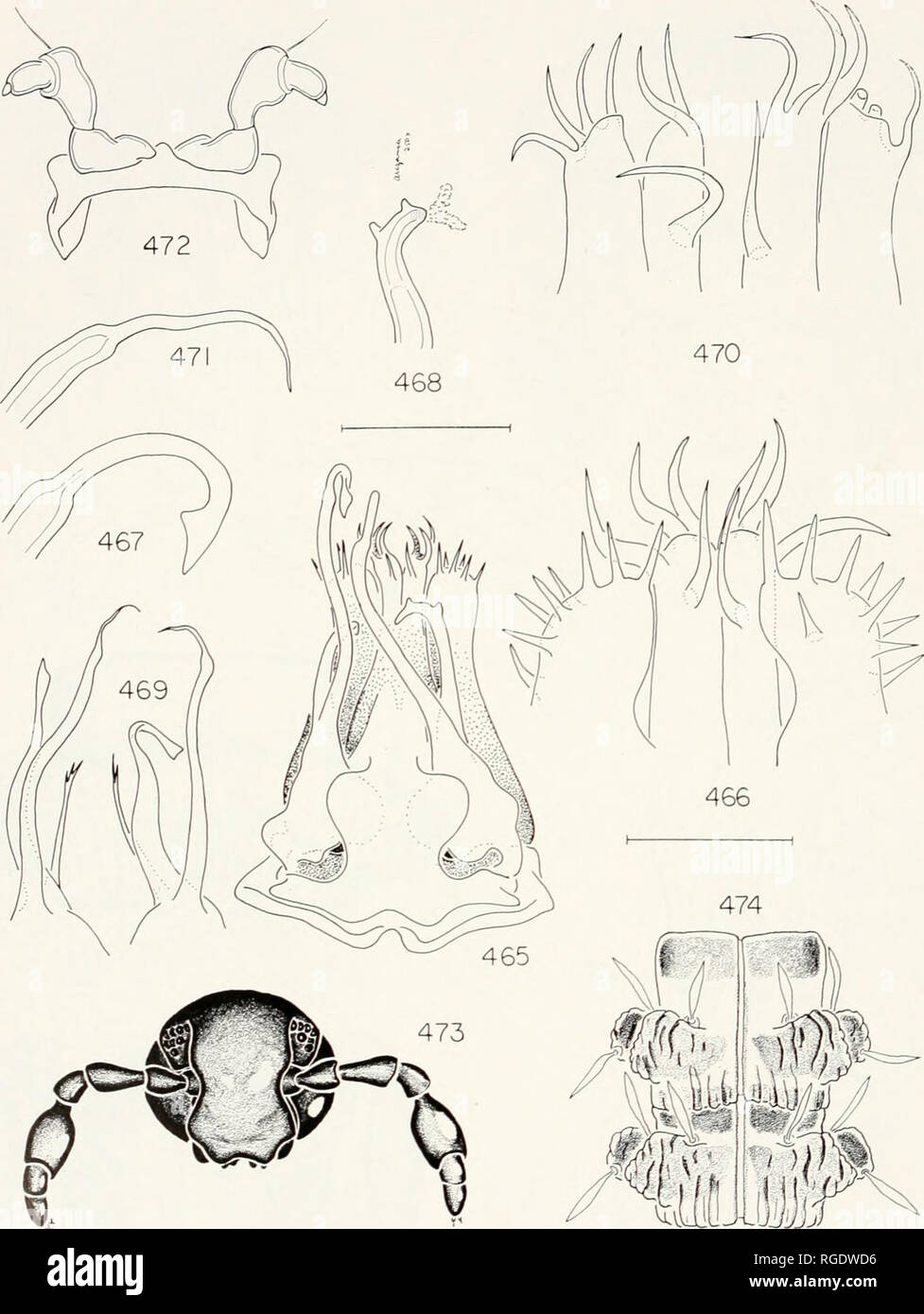. Bulletin of the Museum of Comparative Zoology at Harvard College ...