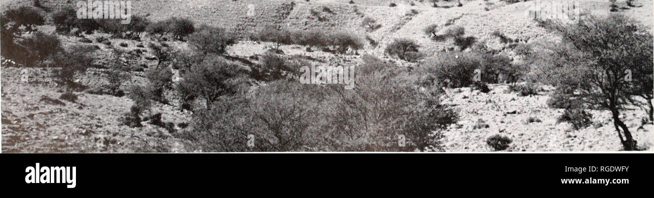 Salt range pakistan hi-res stock photography and images - Alamy