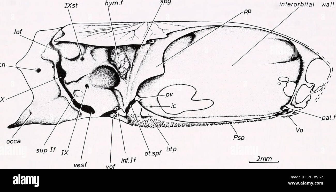 . Bulletin of the Museum of Comparative Zoology at Harvard College ...