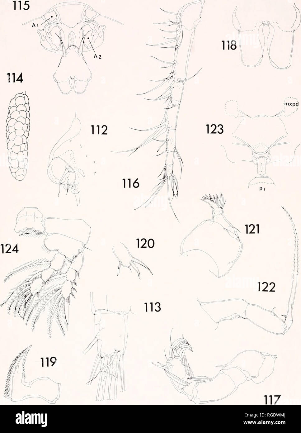 . Bulletin of the Museum of Comparative Zoology at Harvard College ...