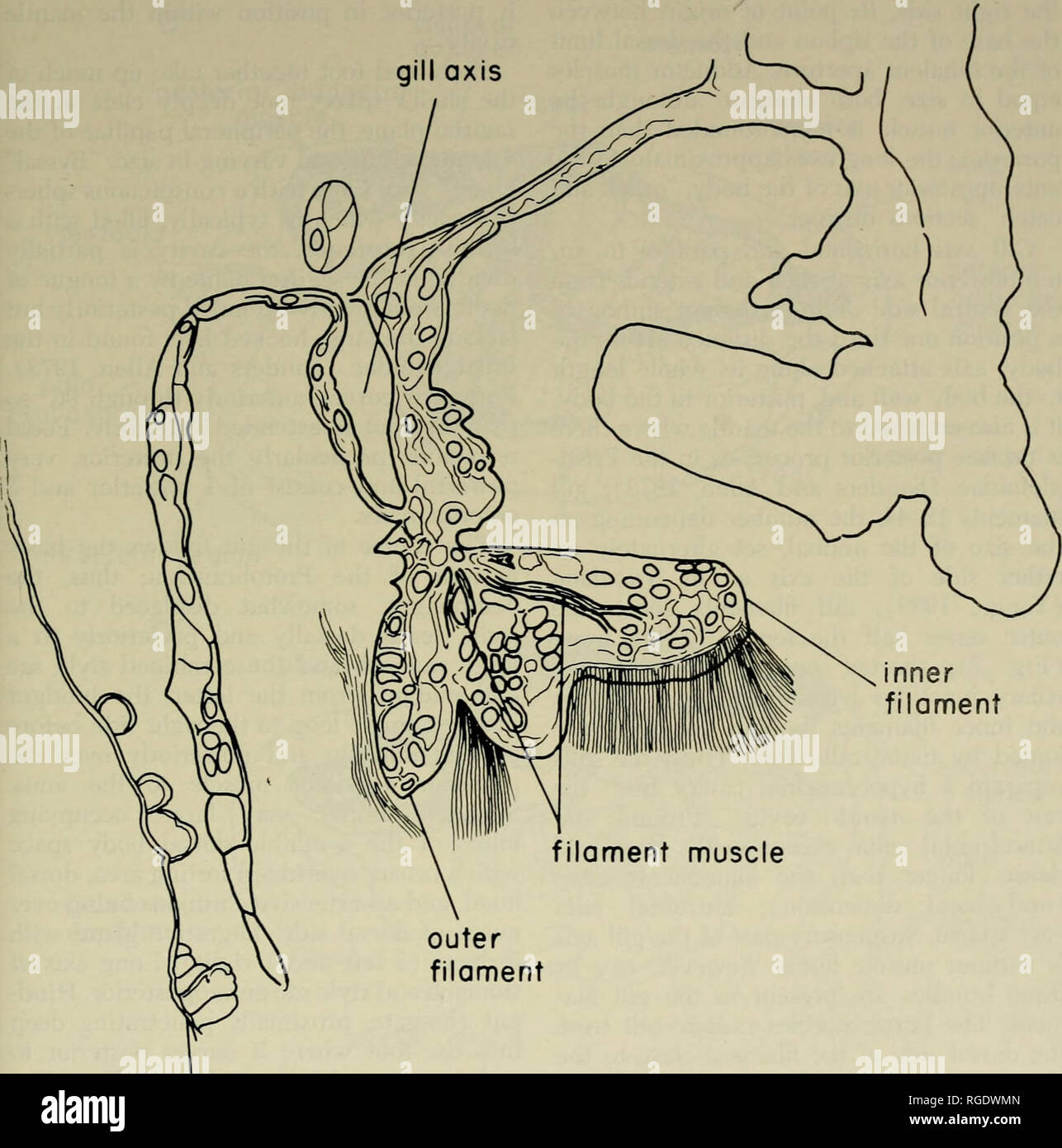 . Bulletin of the Museum of Comparative Zoology at Harvard College ...