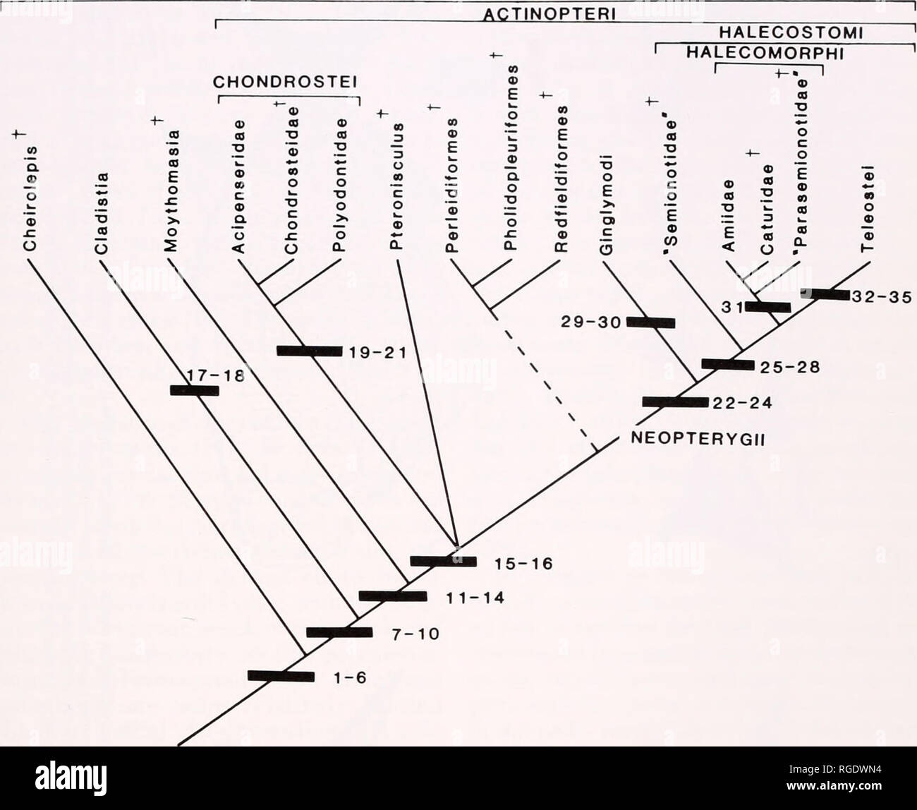 . Bulletin of the Museum of Comparative Zoology at Harvard College ...