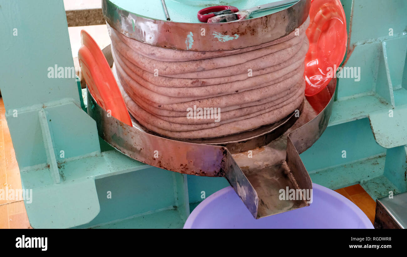 A simple low-tech coconut pressing machine Stock Photo - Alamy