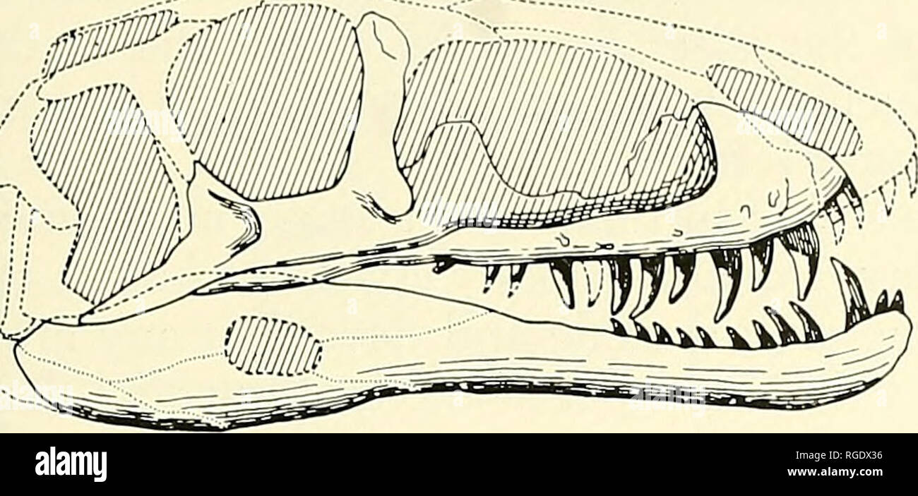 . Bulletin of the Museum of Comparative Zoology at Harvard College ...
