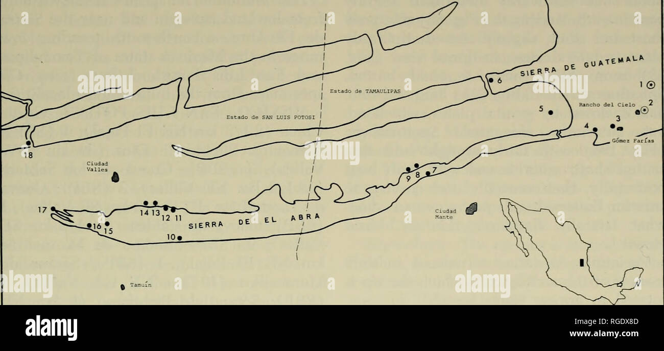 Cueva de rio frio hi-res stock photography and images - Alamy