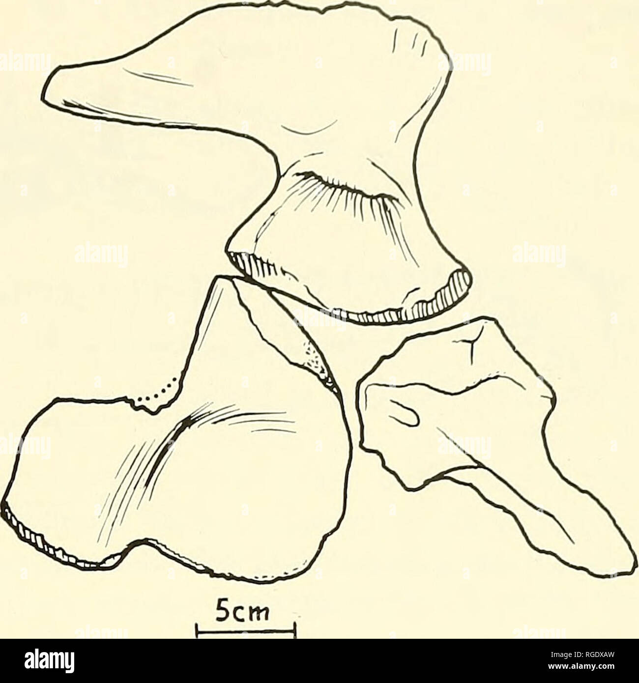 From the reig hi-res stock photography and images - Alamy