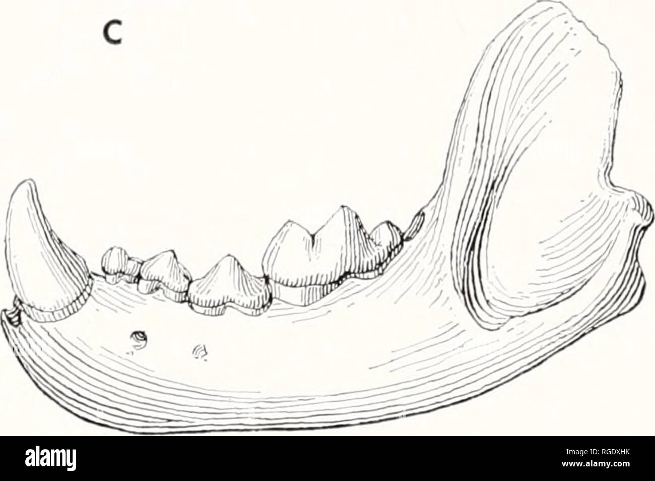 30795 hi-res stock photography and images - Alamy