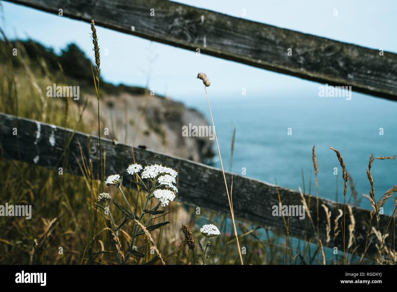 Countryside swim hi-res stock photography and images - Alamy
