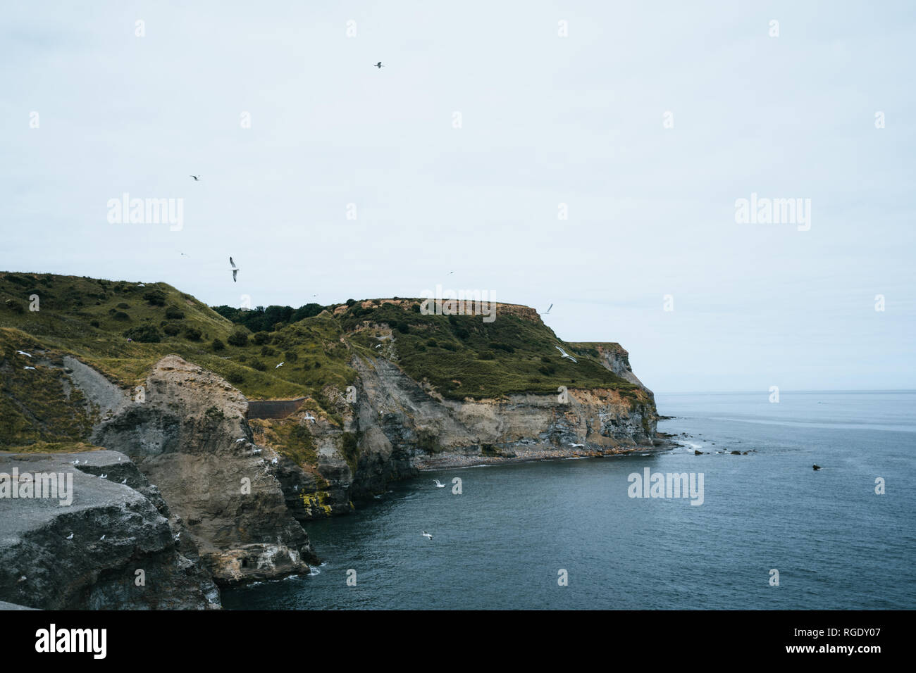 Countryside by the sea hi-res stock photography and images - Alamy