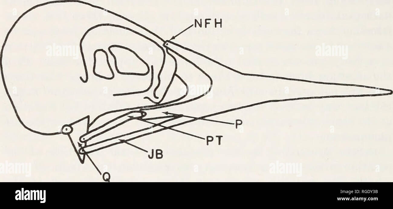 . Bulletin of the Museum of Comparative Zoology at Harvard College ...