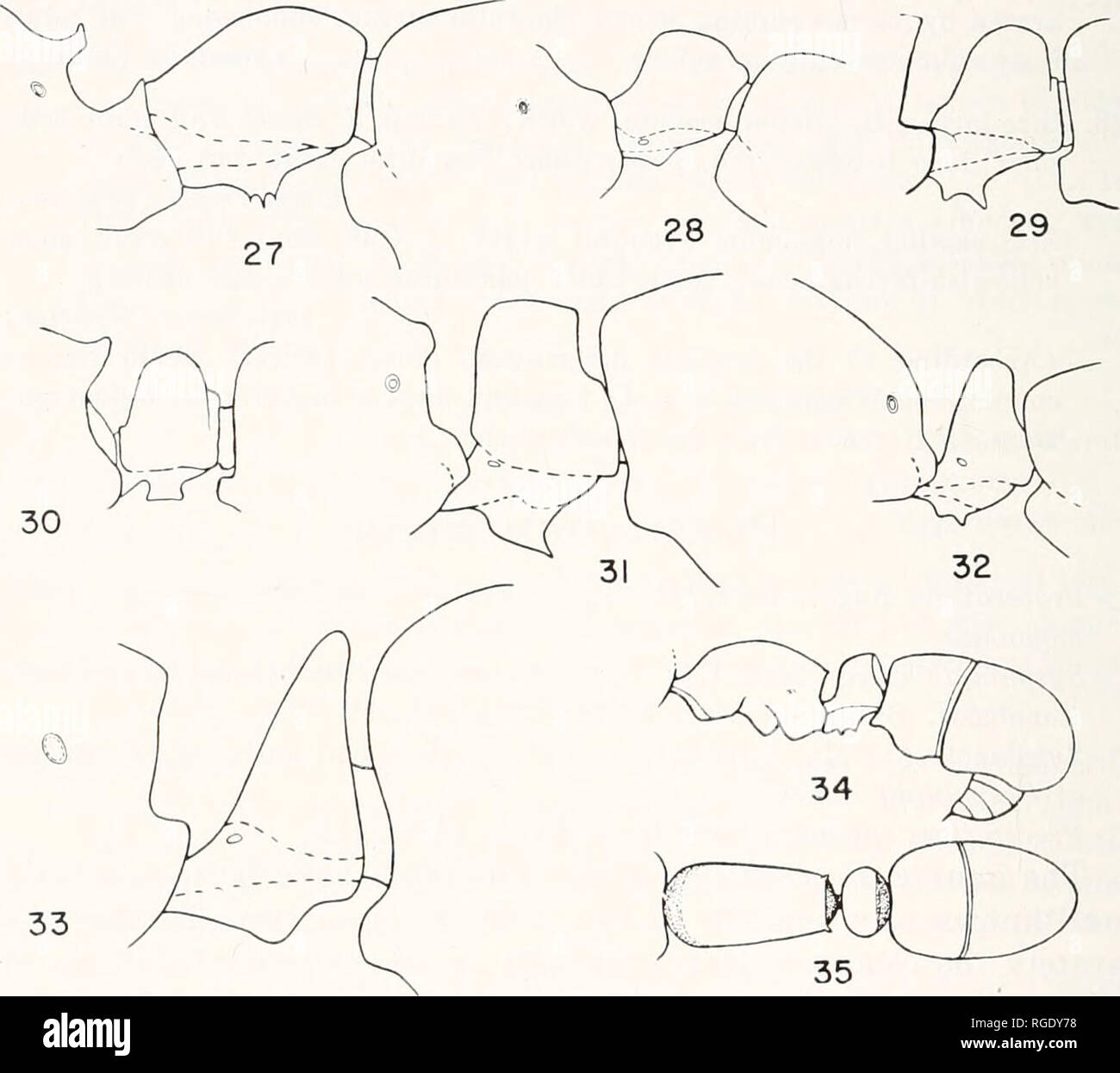 . Bulletin of the Museum of Comparative Zoology at Harvard College ...