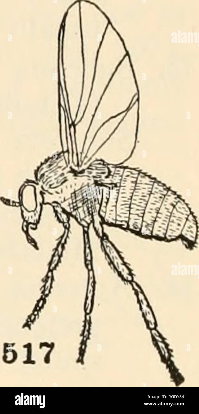 . Bulletin of the Museum of Comparative Zoology at Harvard College ...