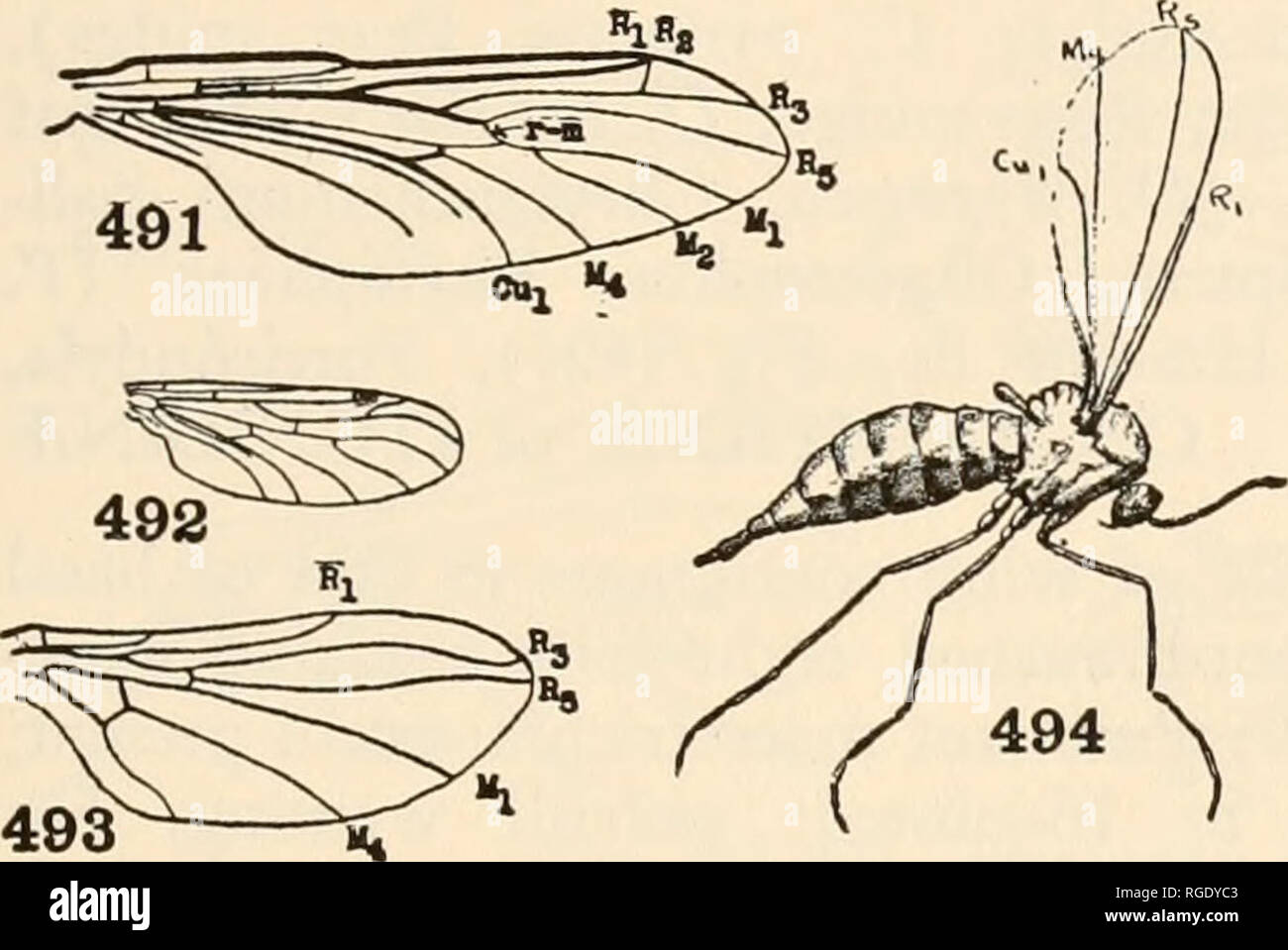 Long cylindrical bead hi-res stock photography and images - Alamy