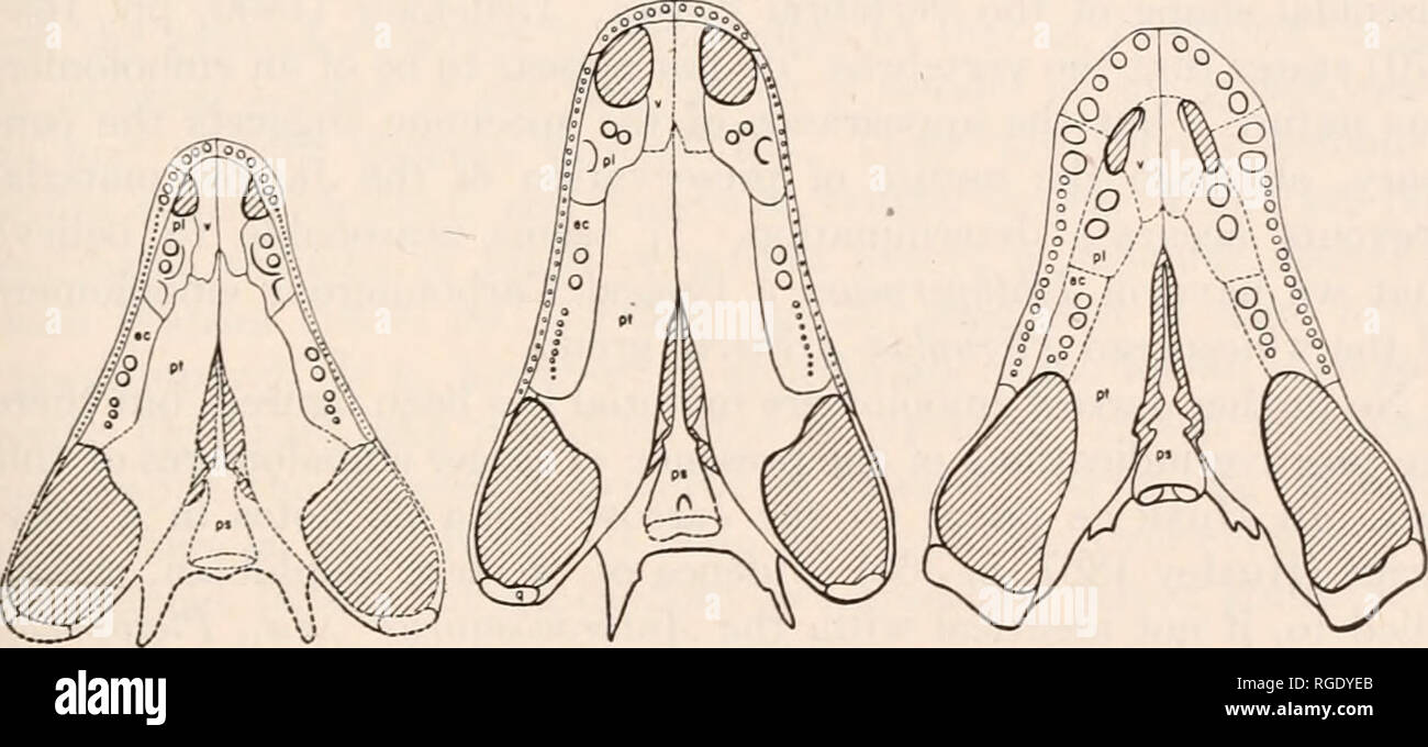. Bulletin of the Museum of Comparative Zoology at Harvard College ...