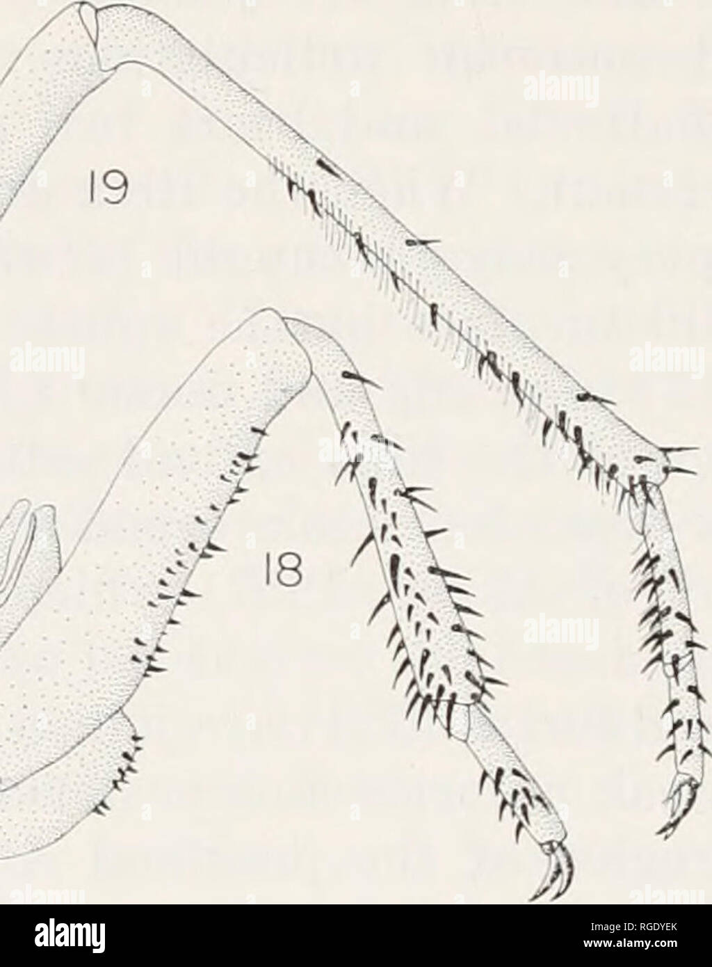 . Bulletin of the Museum of Comparative Zoology at Harvard College ...
