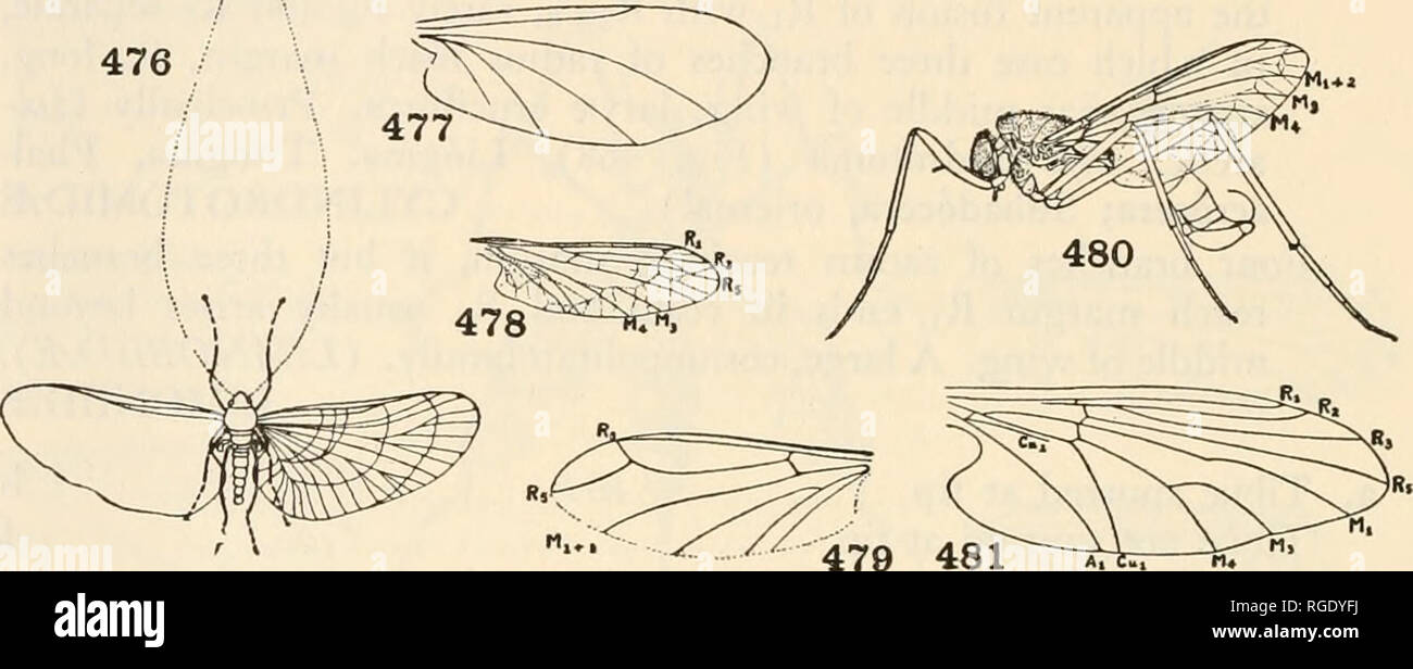 Antocha hi-res stock photography and images - Alamy