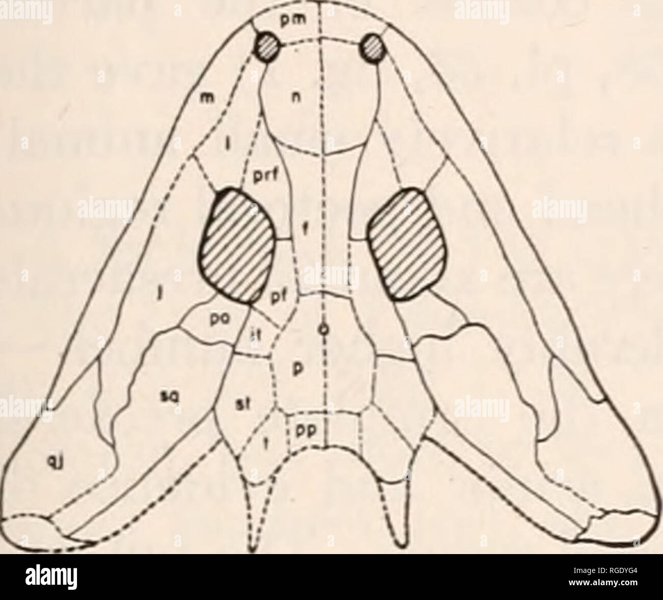 . Bulletin of the Museum of Comparative Zoology at Harvard College ...