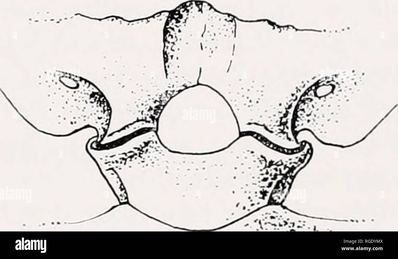 . Bulletin of the Museum of Comparative Zoology at Harvard College ...