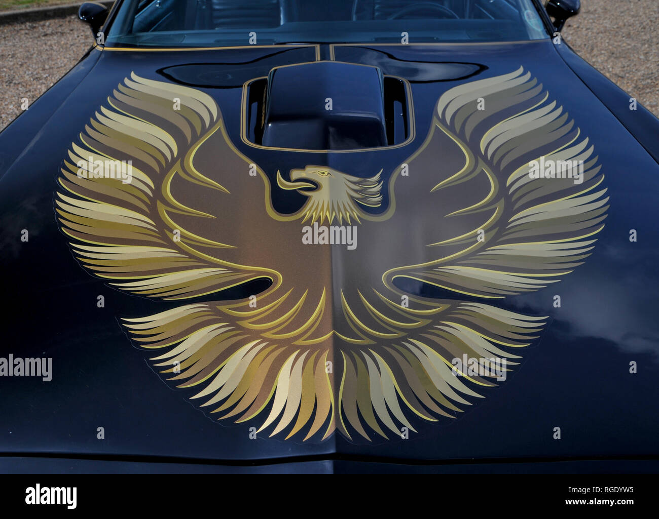 1980 Pontiac Trans Am - classic American muscle car and Smokey and the ...