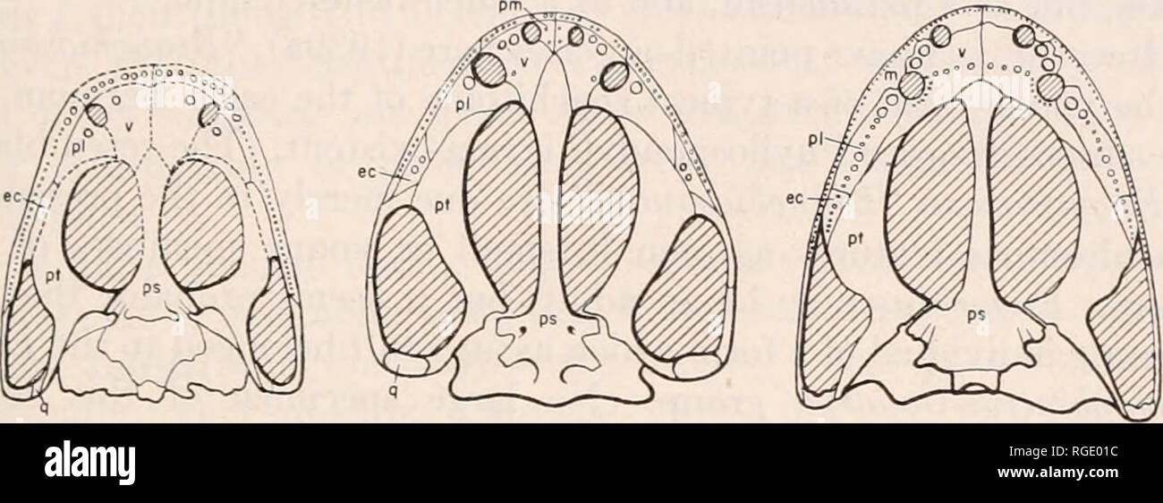. Bulletin of the Museum of Comparative Zoology at Harvard College ...