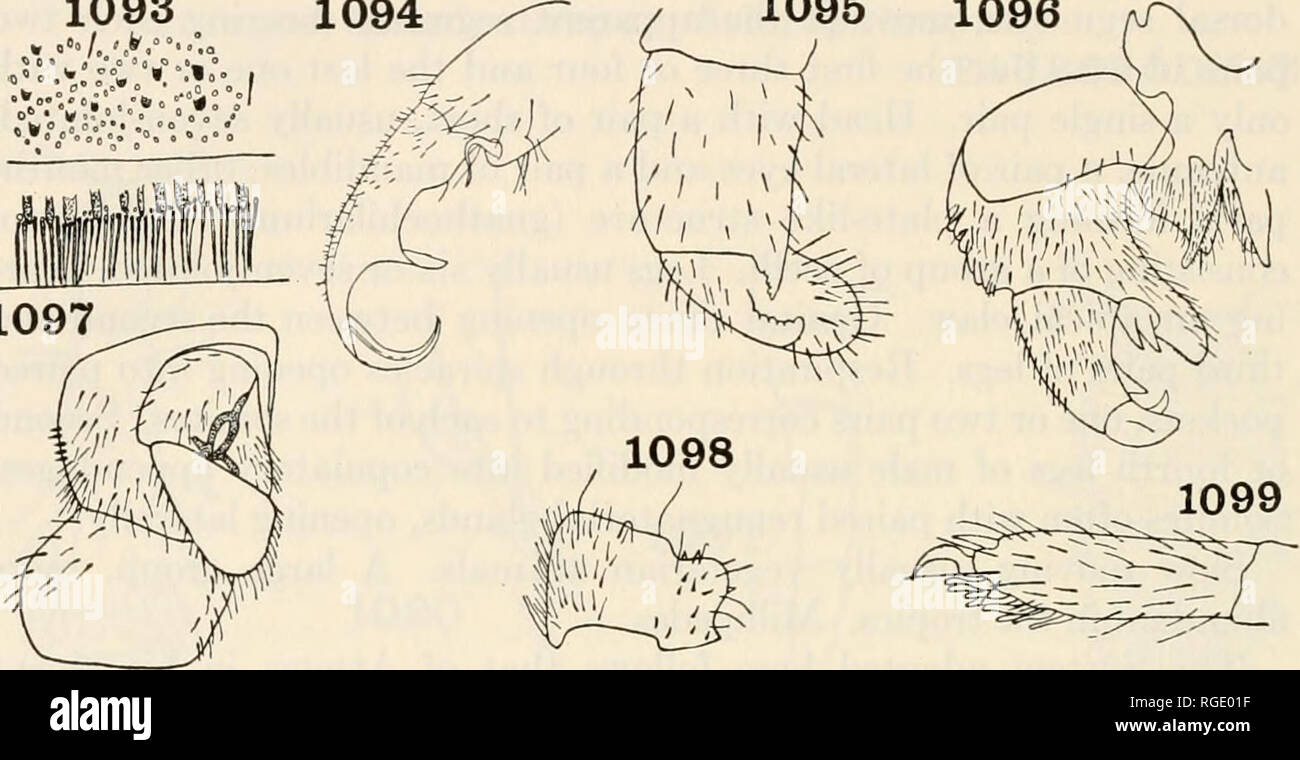 . Bulletin of the Museum of Comparative Zoology at Harvard College ...