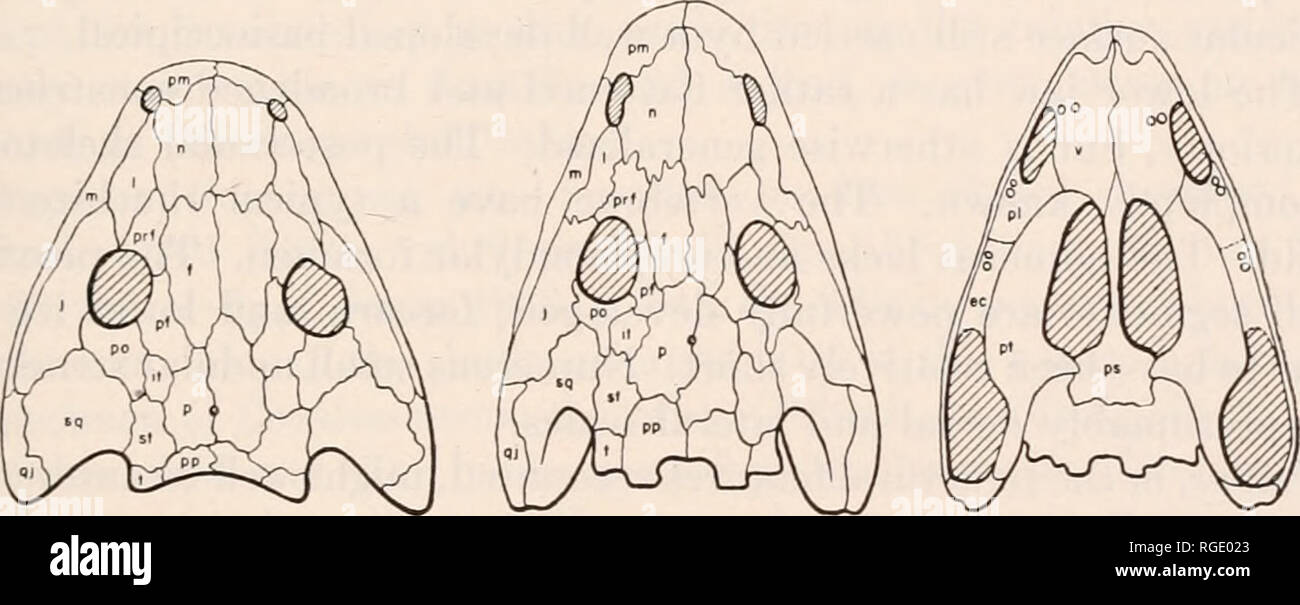 . Bulletin of the Museum of Comparative Zoology at Harvard College ...