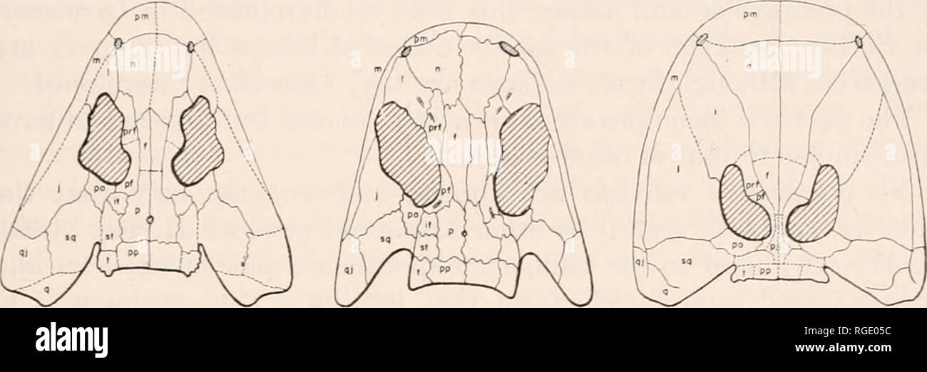 . Bulletin of the Museum of Comparative Zoology at Harvard College ...