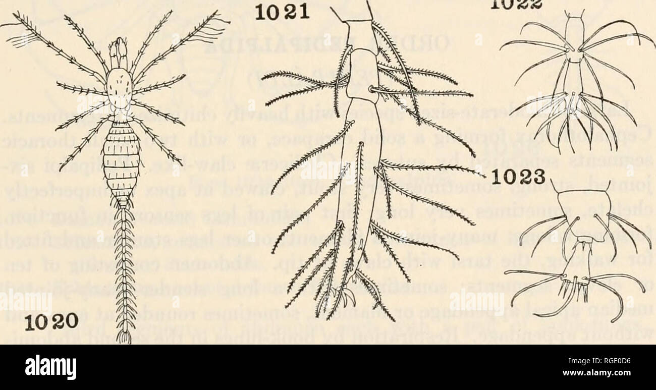 . Bulletin of the Museum of Comparative Zoology at Harvard College ...
