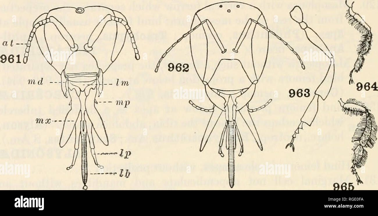 Yellow radial markings hi-res stock photography and images - Alamy