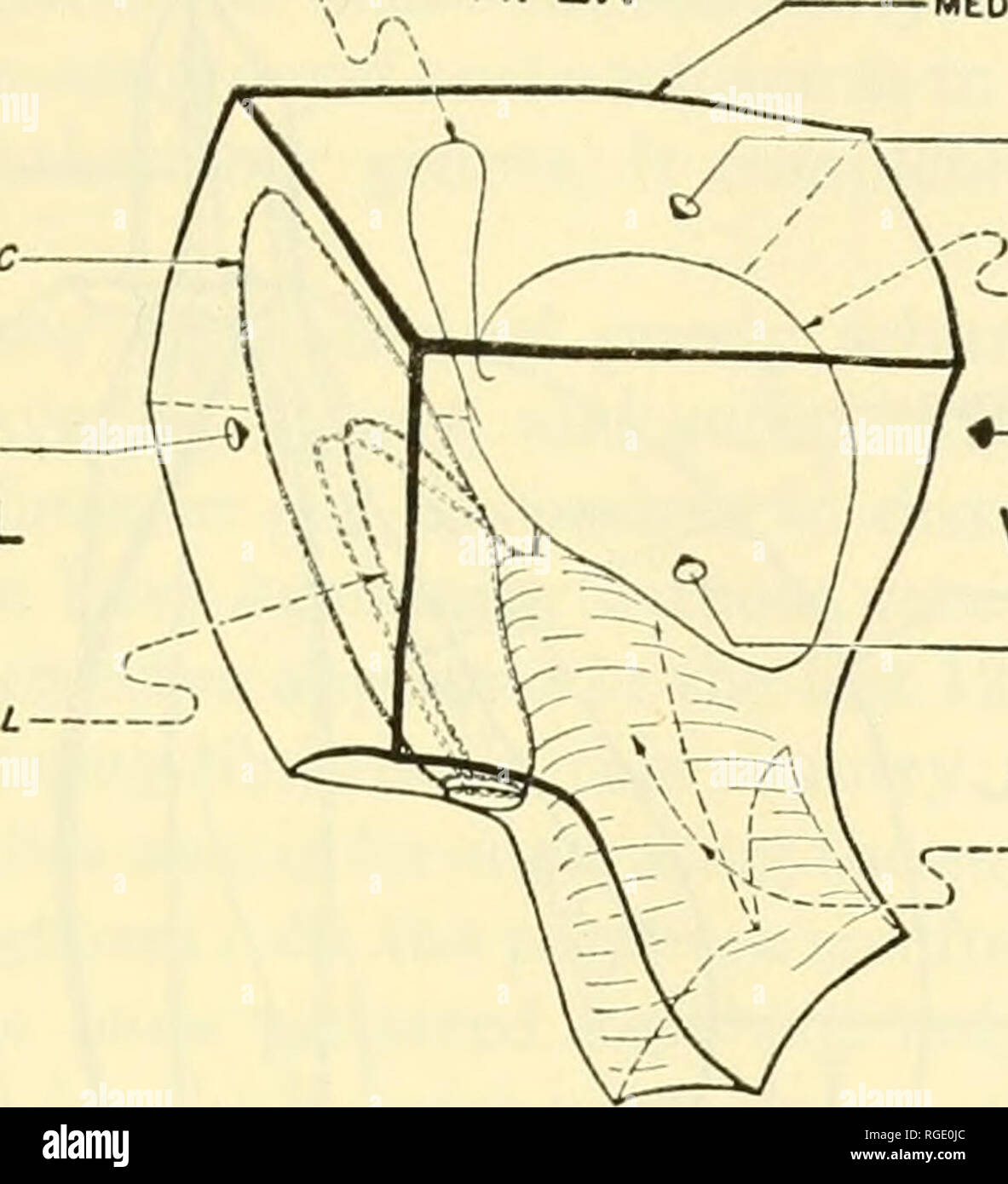 . Bulletin of the Museum of Comparative Zoology at Harvard College ...