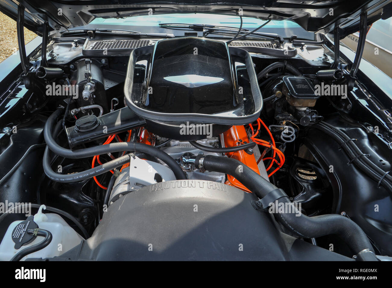 1980 Pontiac Trans Am - classic American muscle car and Smokey and the ...