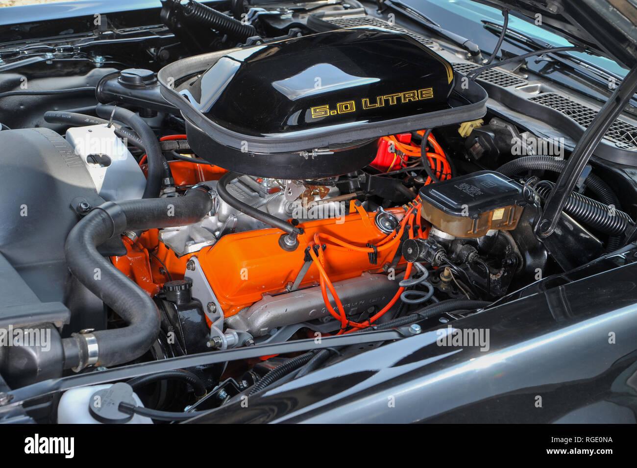 1980 Pontiac Trans Am - classic American muscle car and Smokey and the ...