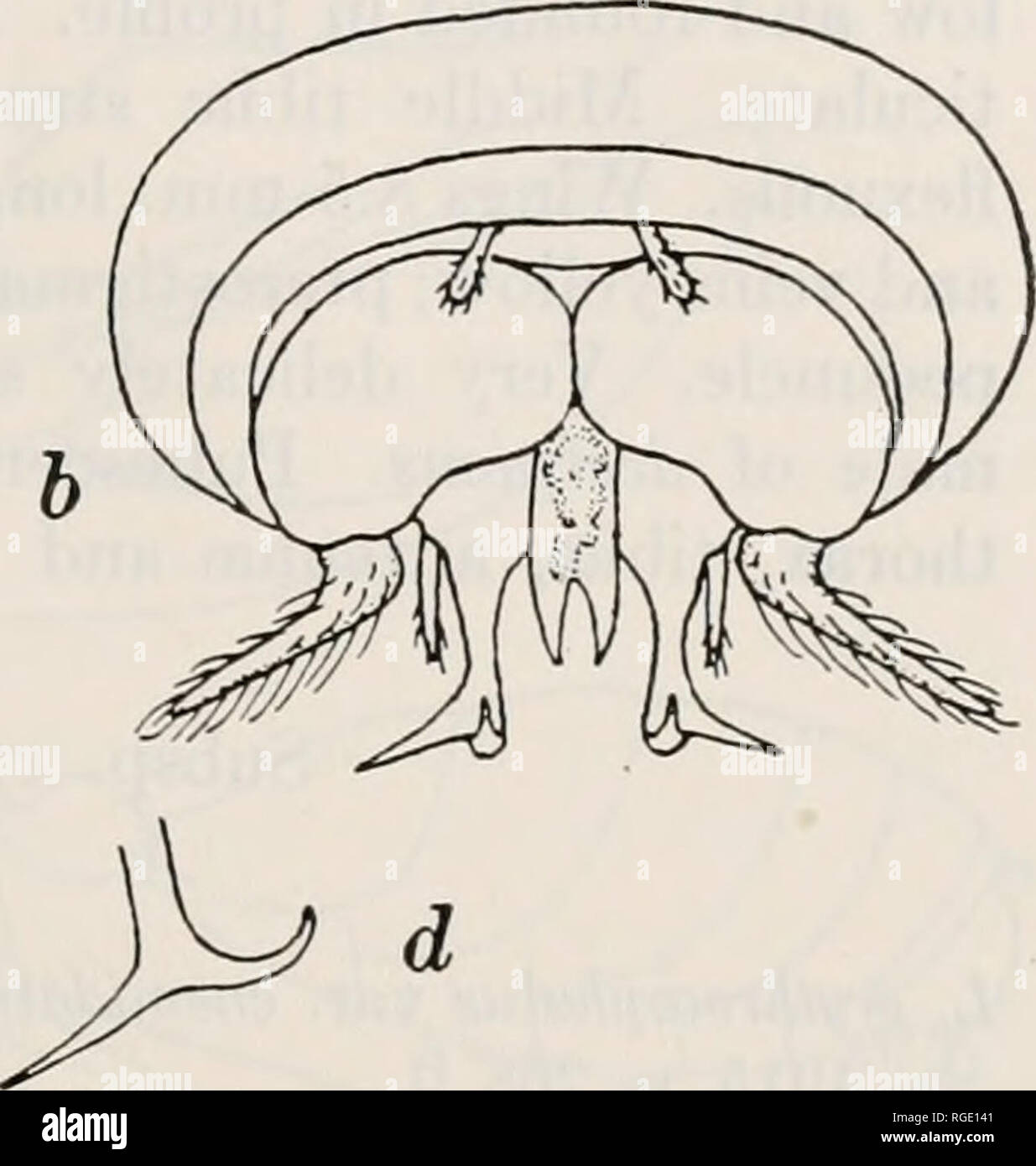 Mcpherson range hi-res stock photography and images - Alamy