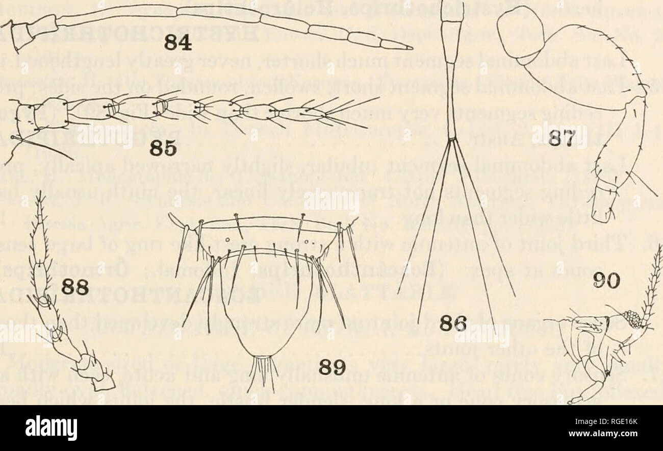 . Bulletin of the Museum of Comparative Zoology at Harvard College ...