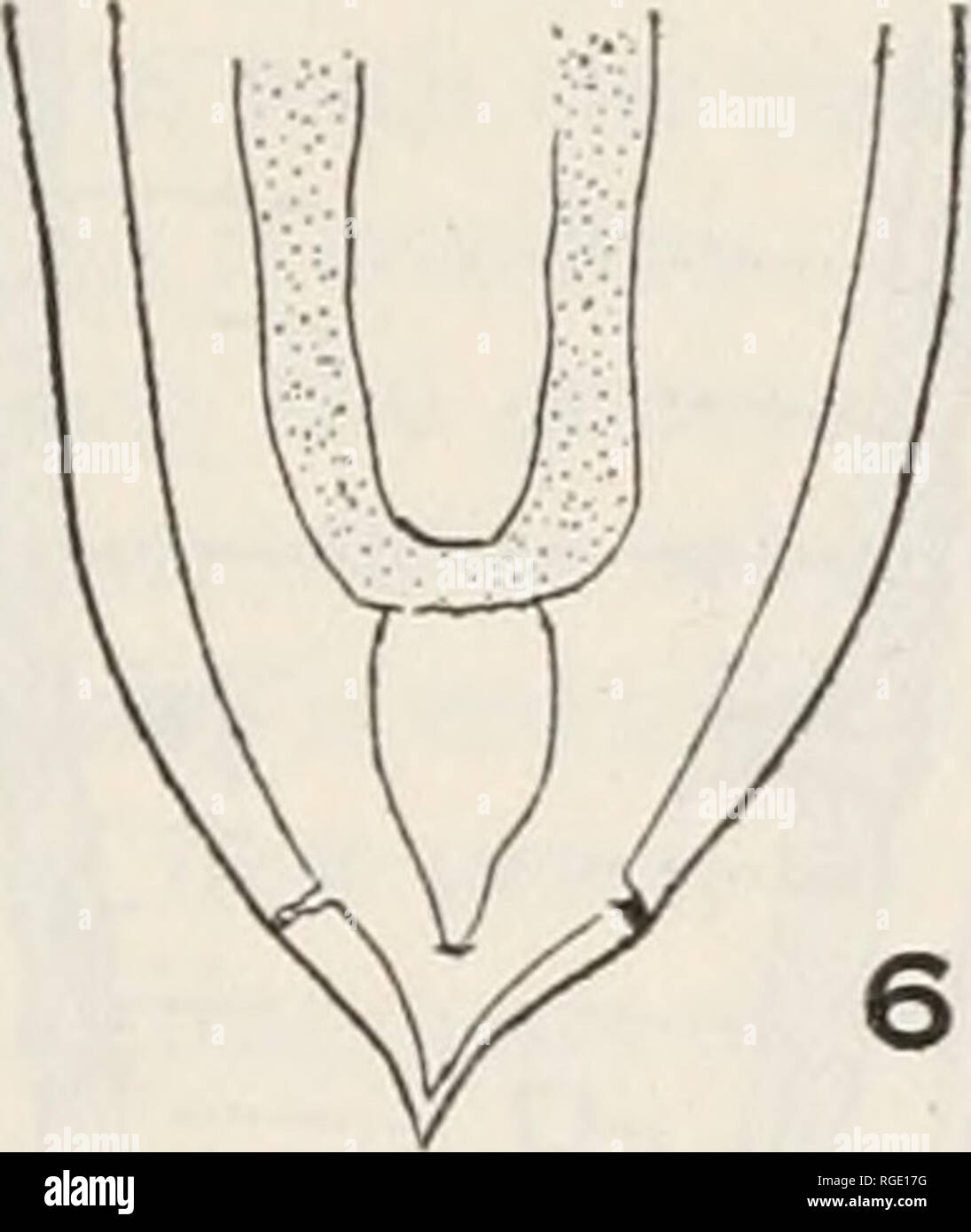 . Bulletin of the Museum of Comparative Zoology at Harvard College ...