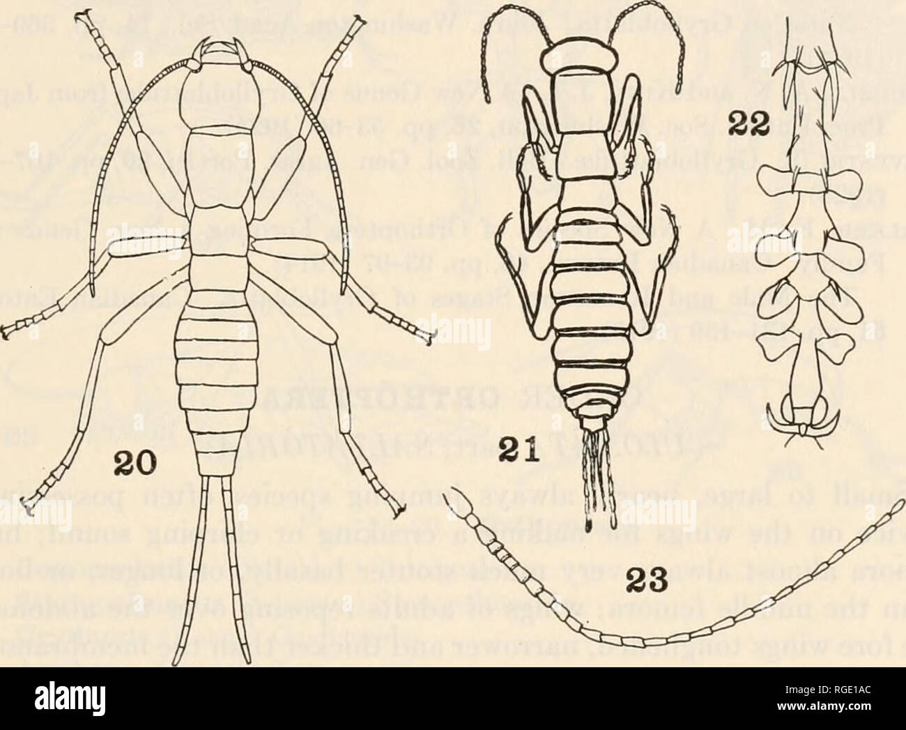 . Bulletin of the Museum of Comparative Zoology at Harvard College ...