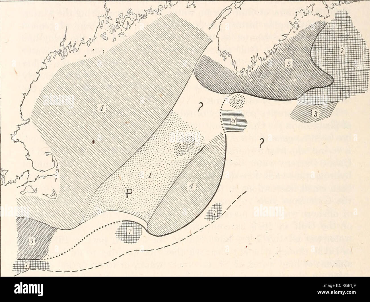Macroplankton hi-res stock photography and images - Alamy