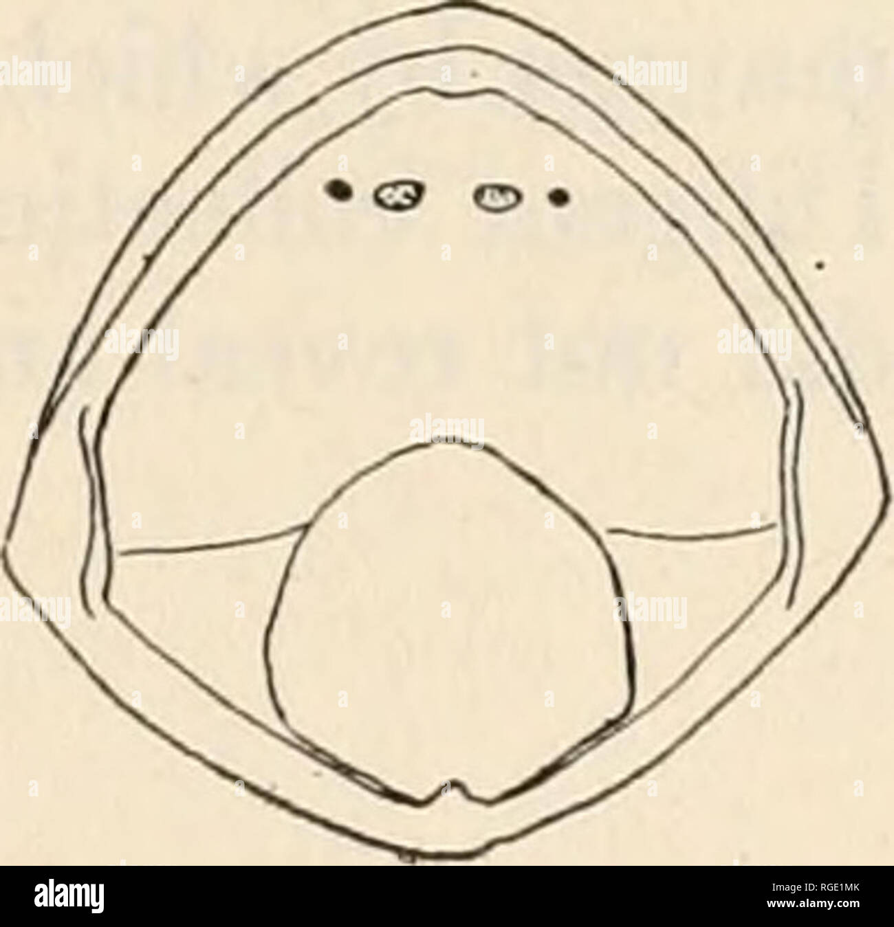 . Bulletin of the Museum of Comparative Zoology at Harvard College ...