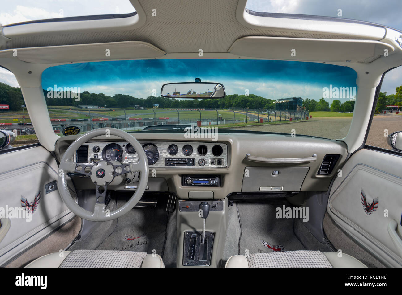 1981 Pontiac Trans Am Turbo - classic American V8 sports car Stock ...