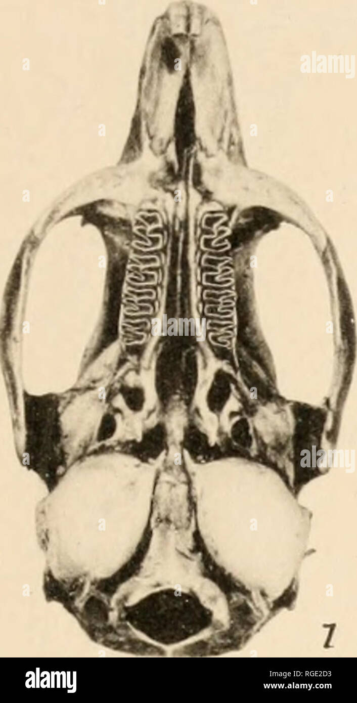 . Bulletin of the Museum of Comparative Zoology at Harvard College ...
