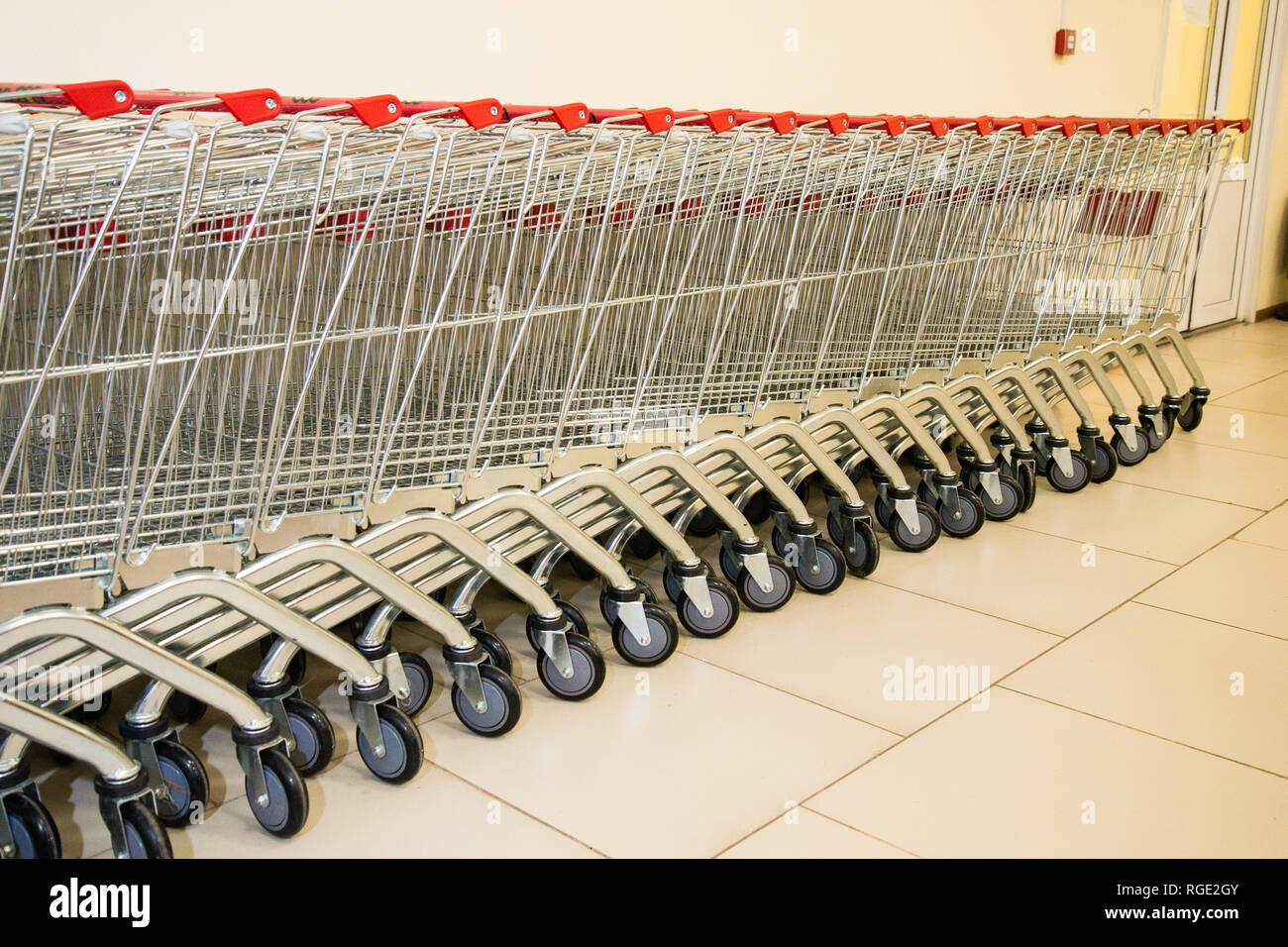 Shopping carts lined up together close up . Many empty shopping carts in a row. Inside a large ...