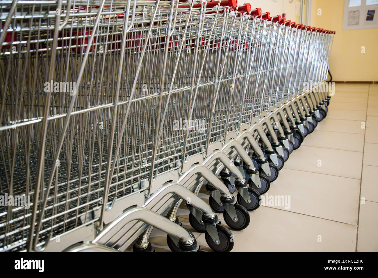 Shopping carts lined up together close up . Many empty shopping carts in a row. Inside a large ...