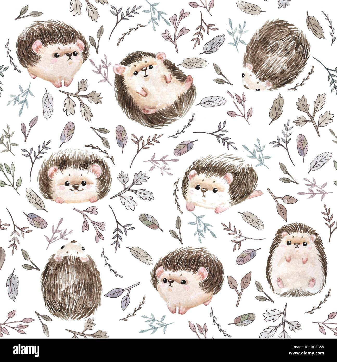 Cute Baby Hedgehog Wallpaper