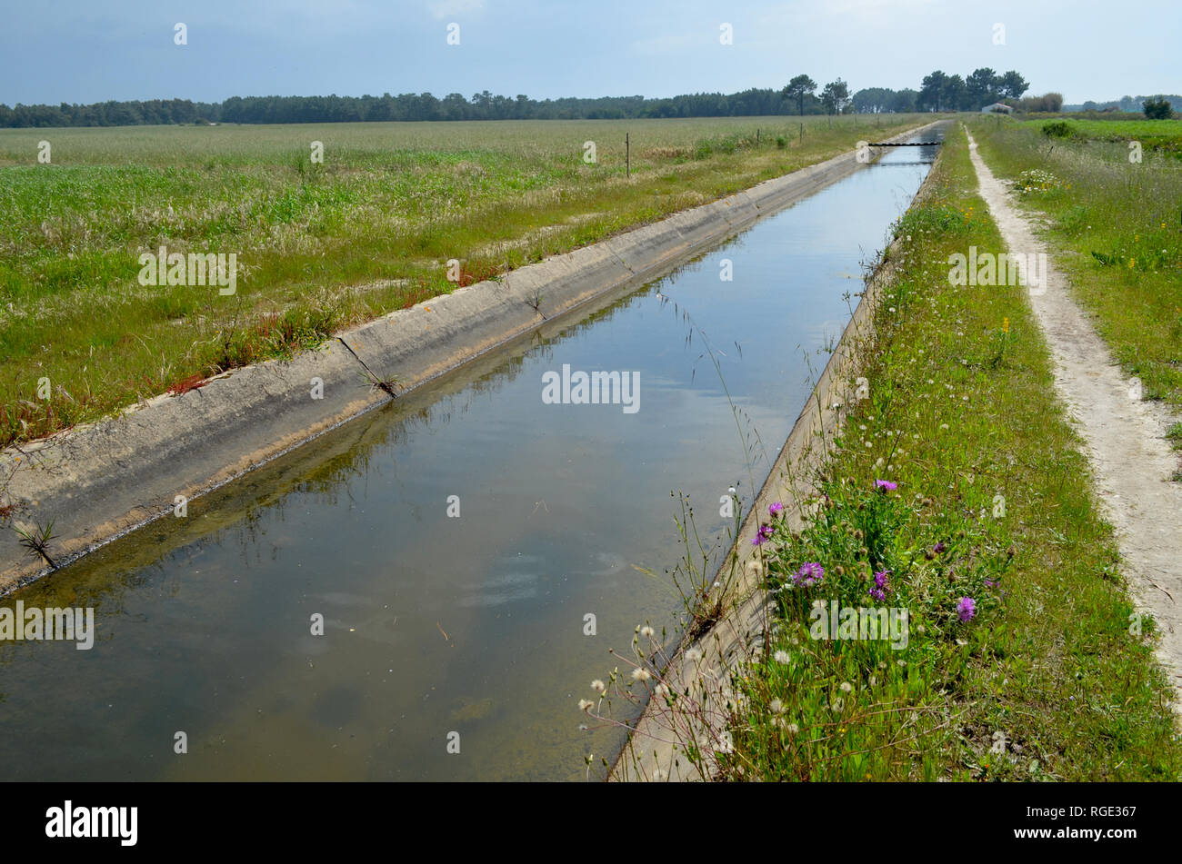 An irrigation channel in the Alentejo region, Southern Portugal Stock ...