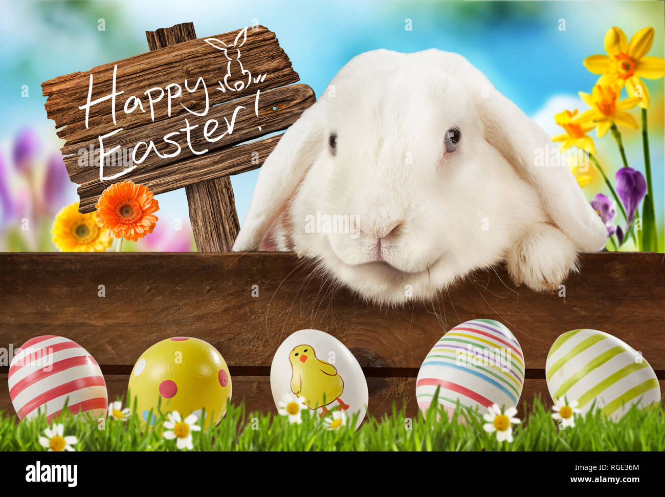 Postcards Paper Paper & Party Supplies Mini Design Card Happy Easter ...