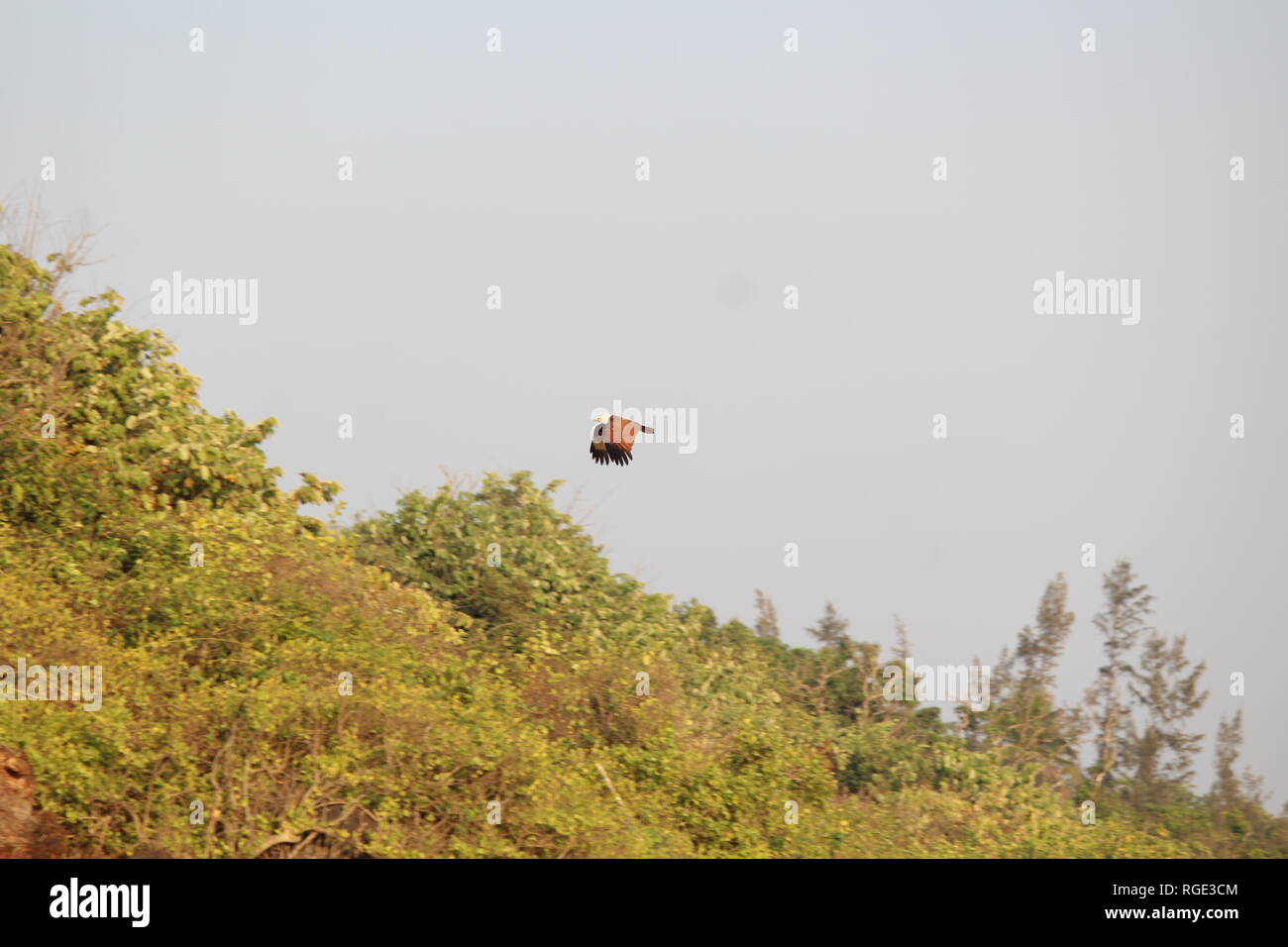 High in the sky Stock Photo - Alamy