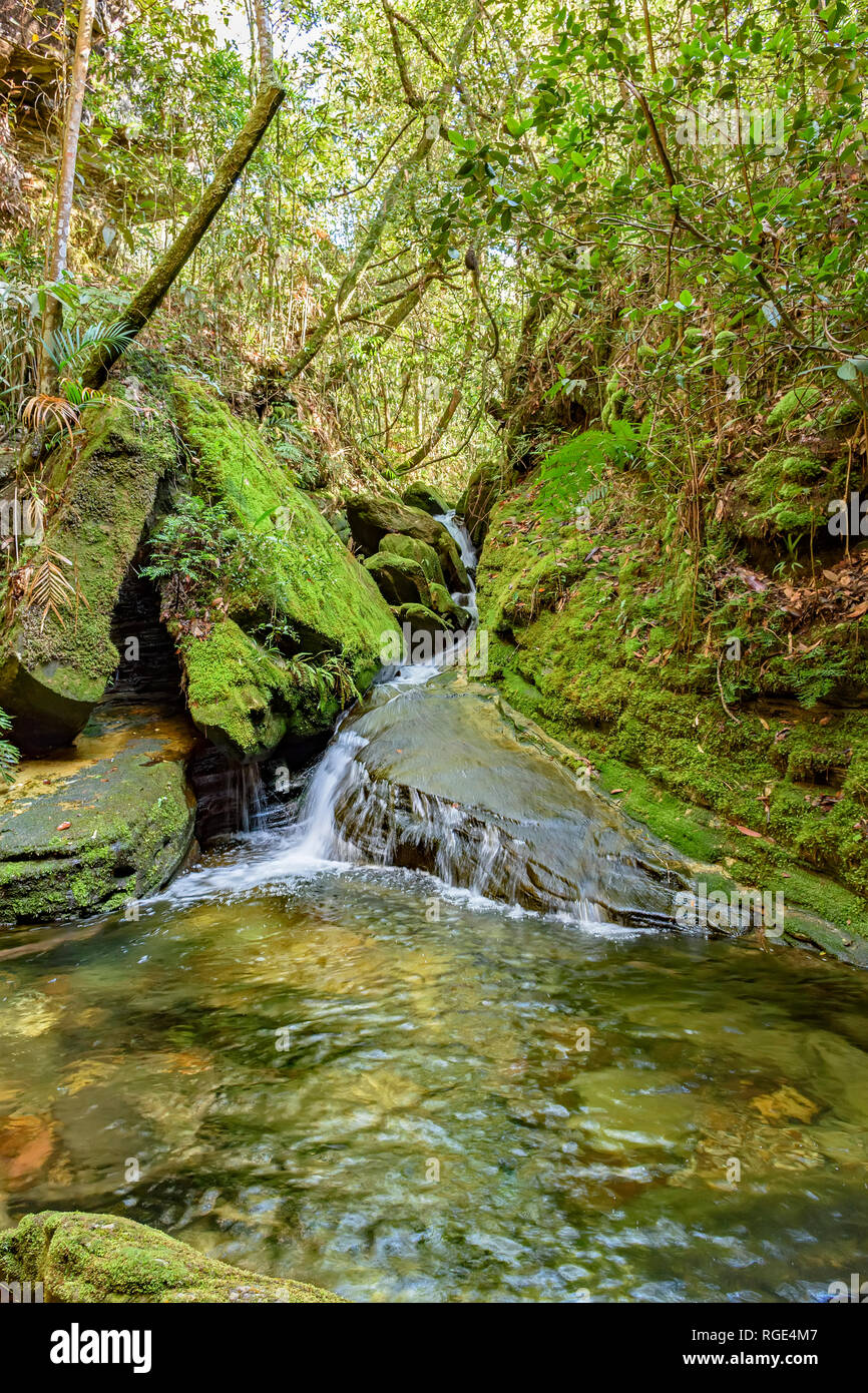 Small cascade and river in the interior of the forest illuminated by ...